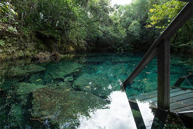 Reserva Ecológica Ojos Indígenas